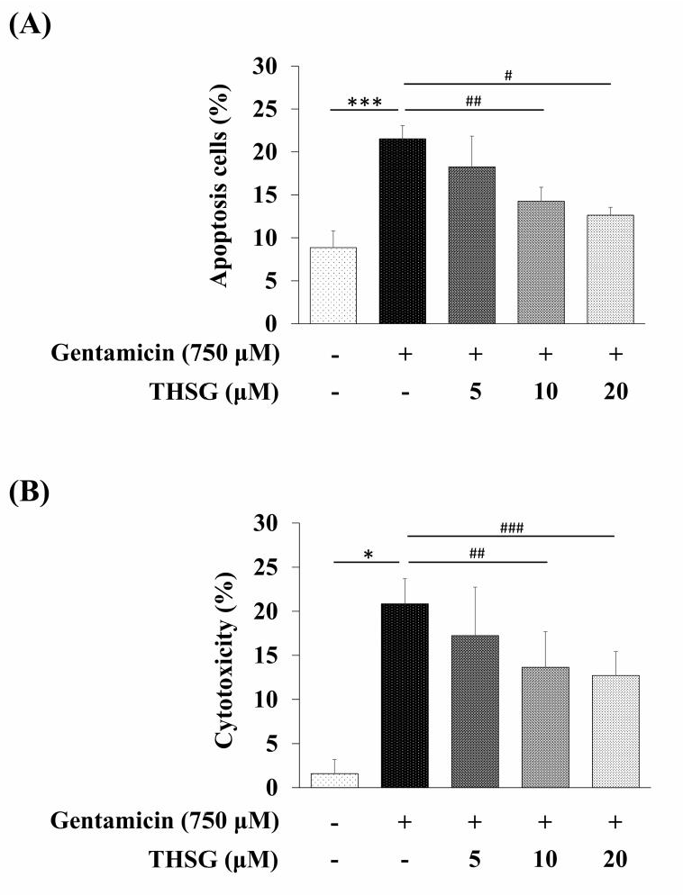 Figure 1 From Otoprotective Effect Of 234′5 Tetrahydroxystilbene 2 O