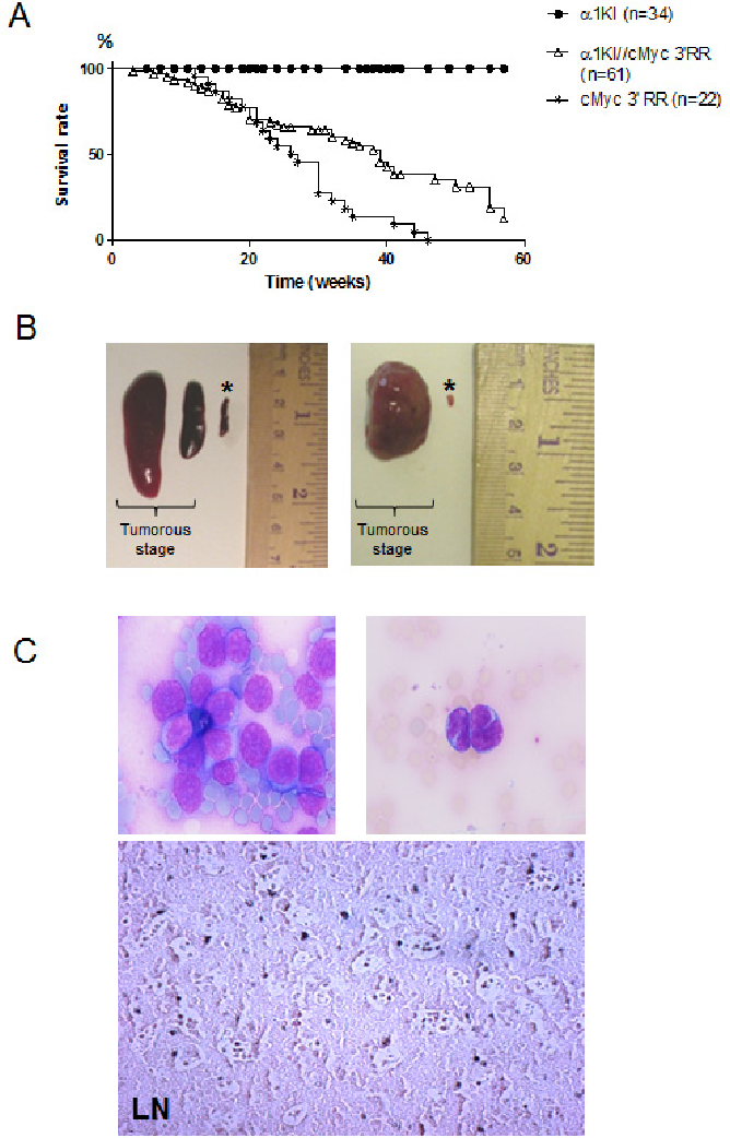 Pdf The Class Specific Bcr Tonic Signal Modulates Lymphomagenesis In