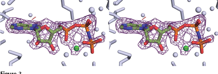 Figure 1 From Biological Crystallography Structural Insight Into