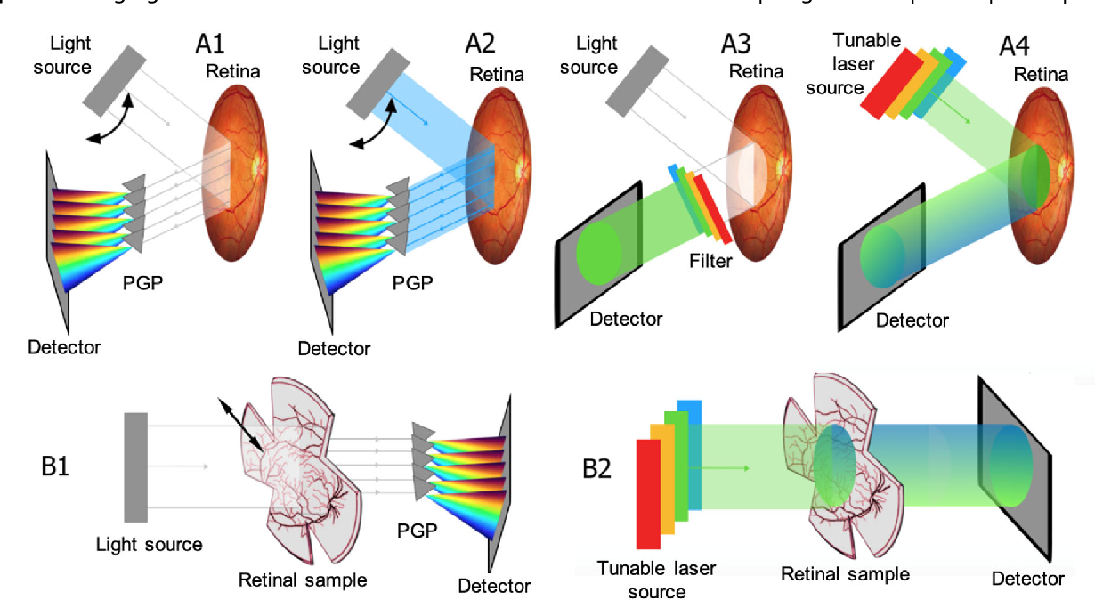 Figure 1 From Hyperspectral Imaging And The Retina Worth The Wave