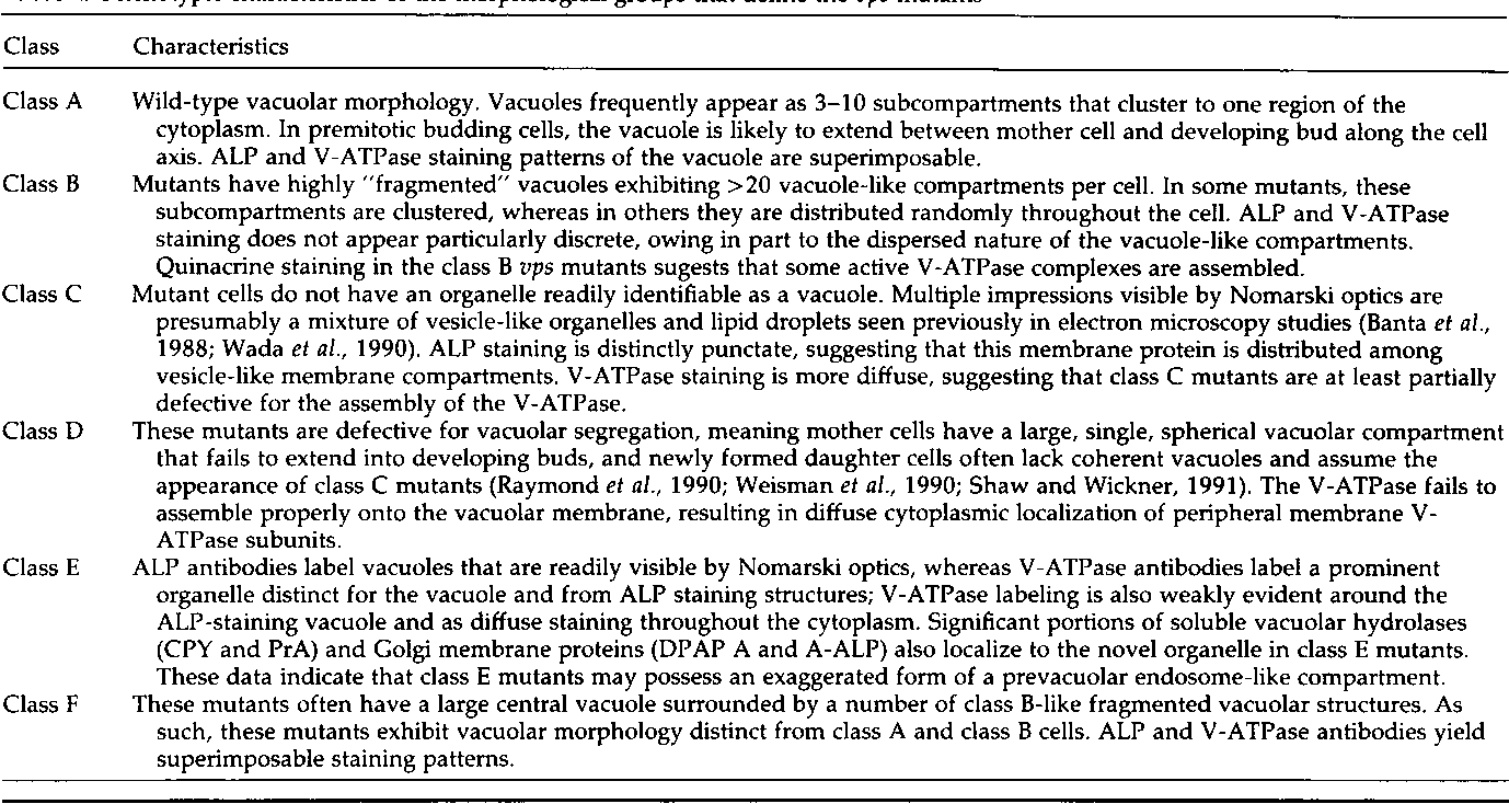 Table 1 From An Mboc Favorite Morphological Classification Of The