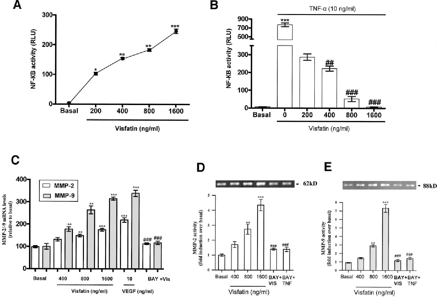 Pdf Nuclear Factor κb Induction By Visfatin In Human Vascular