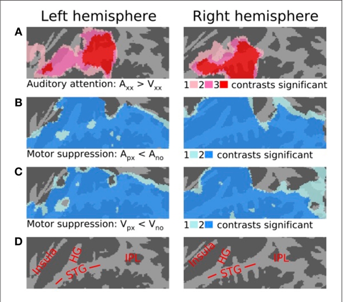 Figure 1 From The Effect Of Precision And Power Grips On Activations In