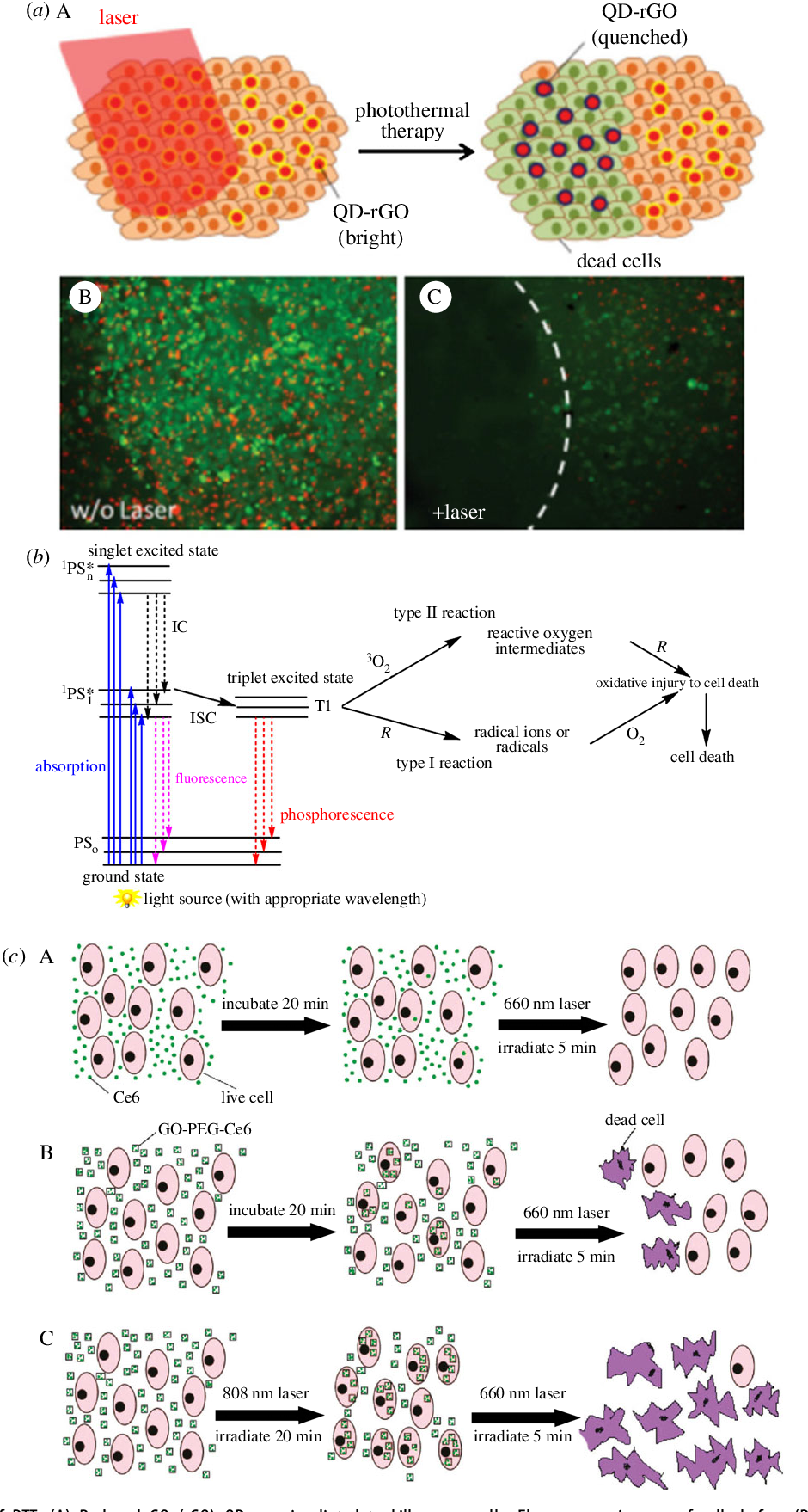 Figure 1 From Graphene And Its Derivatives As Biomedical Materials