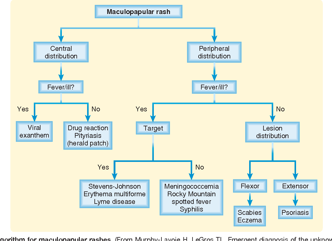 Pdf Approach To The Adult Rash Semantic Scholar