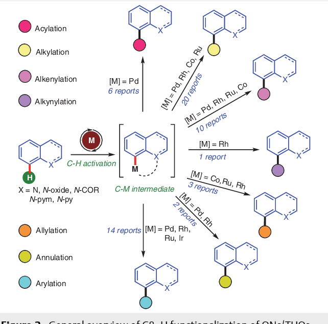 Transition Metal Catalyzed Directed C8h Carboncarbon Bond Formation