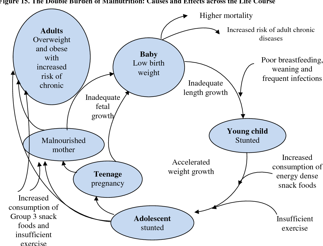 Figure 1 From The Double Burden Of Malnutrition A Review Of Global