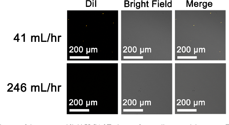 Figure 1 From Microfluidic Based High Throughput Synthesis Of Lipid