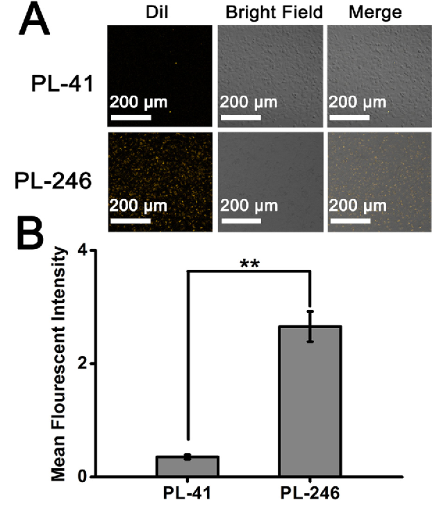 Figure 1 From Microfluidic Based High Throughput Synthesis Of Lipid