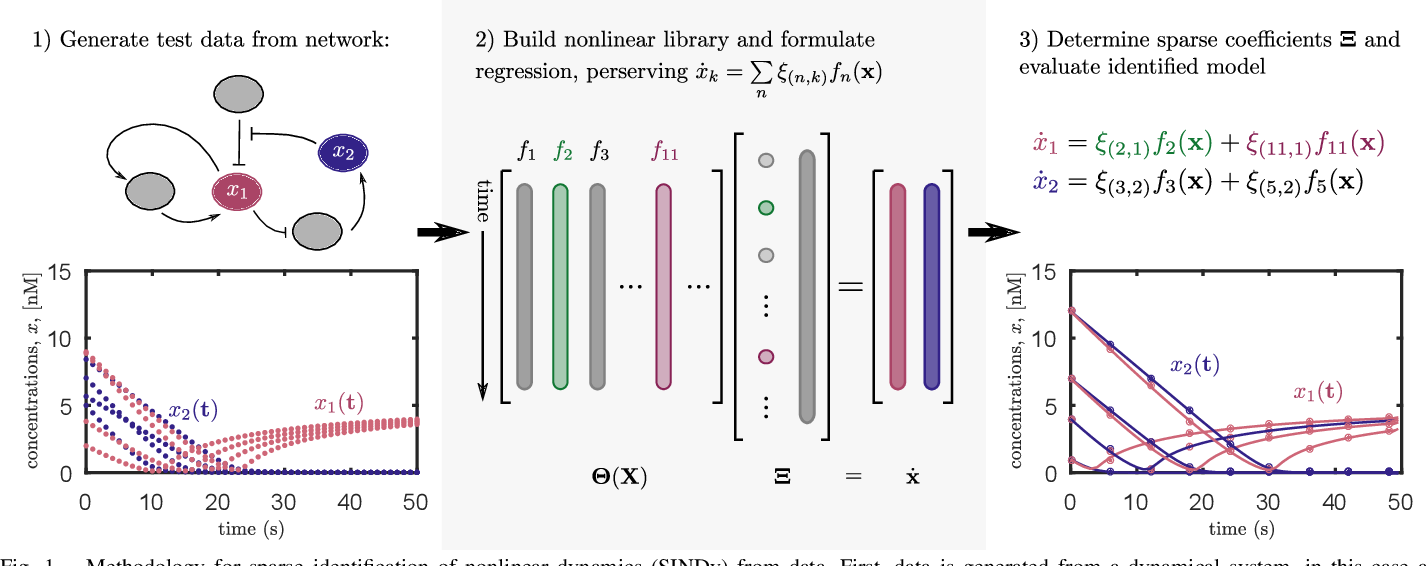 Pdf Inferring Biological Networks By Sparse Identification Of