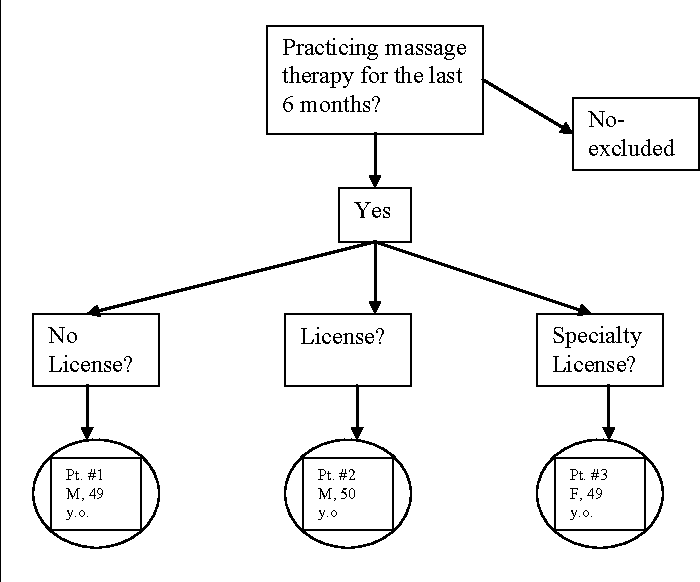 Pdf The Influence Of Practice Standards On Massage Therapists Work