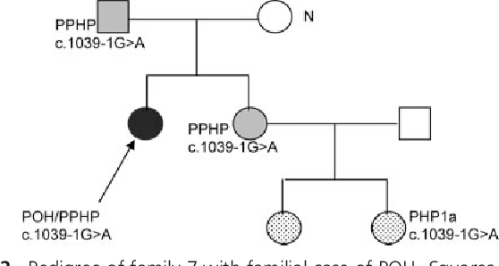 Pdf Progressive Osseous Heteroplasia A Model For The Imprinting