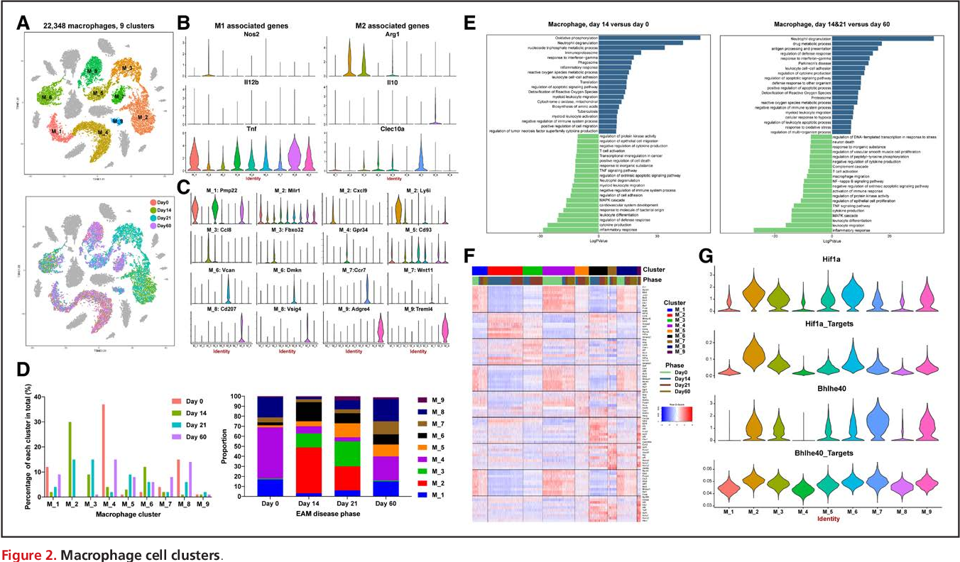 Figure 2 From Single Cell Rna Sequencing To Dissect The Immunological