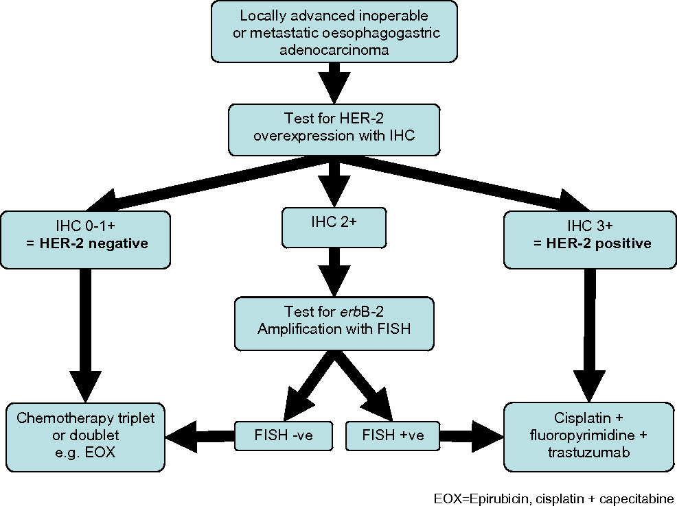 Trastuzumab In Gastric Cancer Semantic Scholar