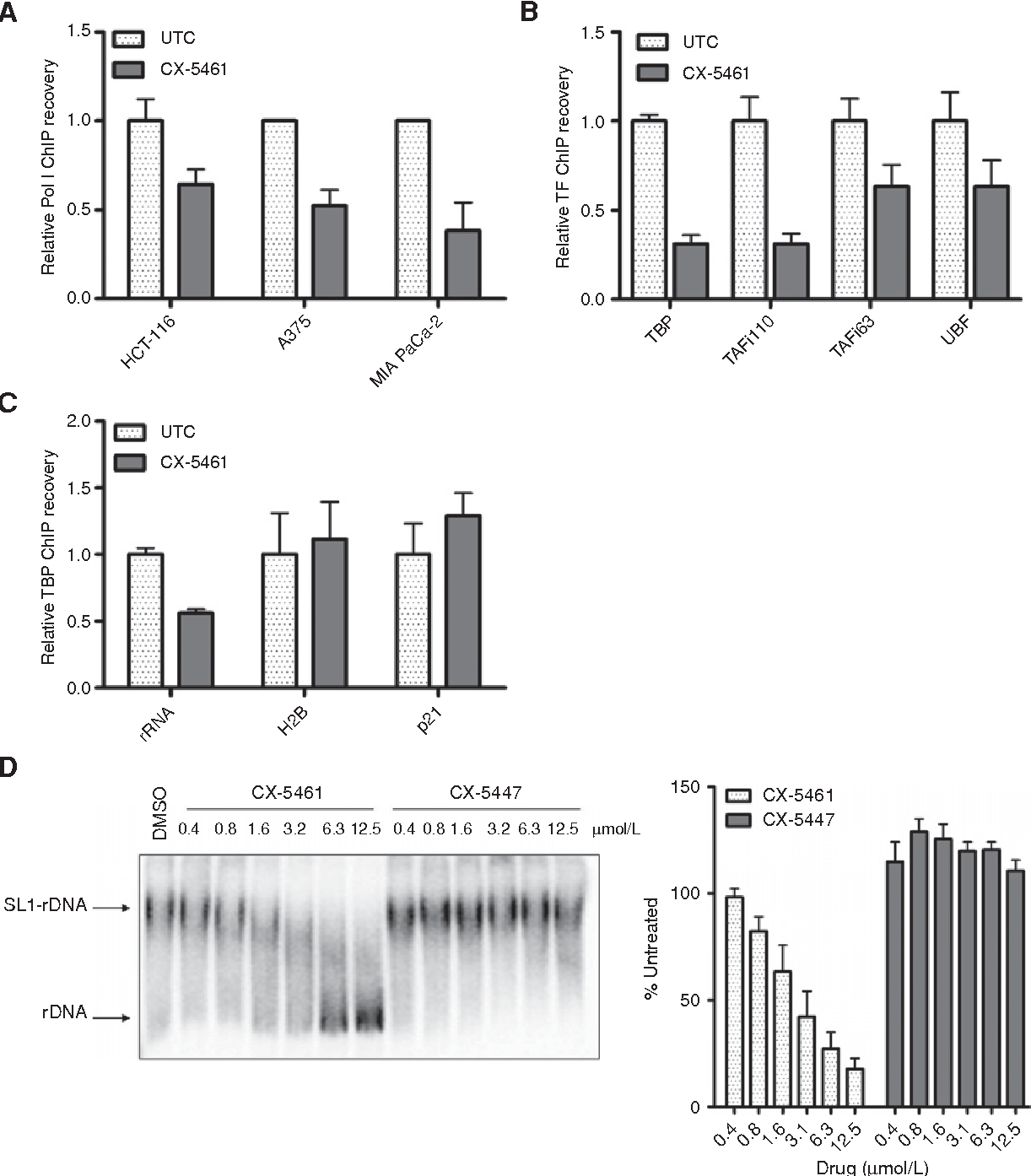 Figure 1 From Targeting Rna Polymerase I With An Oral Small Molecule Cx