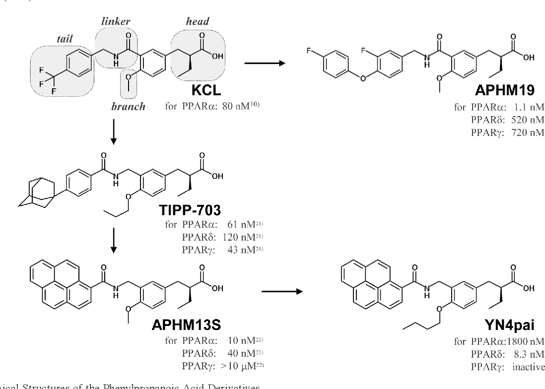 Figure 1 From Crystal Structures Of The Human Peroxisome Proliferator