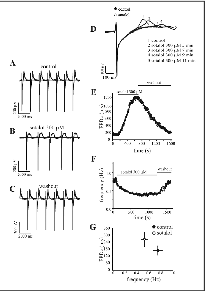 Figure 1 From Human And Murine Embryonic Stem Cell Derived