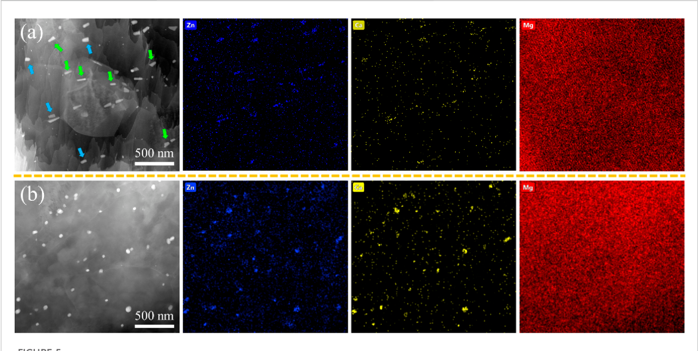 Figure 1 From The In Vivo And In Vitro Corrosion Behavior Of Mgomg Zn