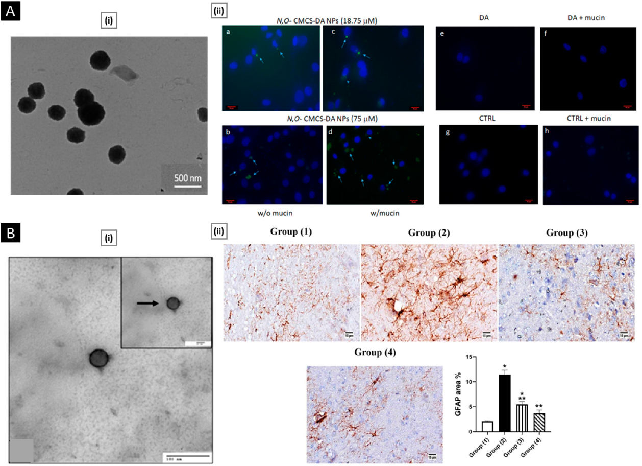 Pdf Chitosan A Potential Biopolymer In Drug Delivery And Biomedical