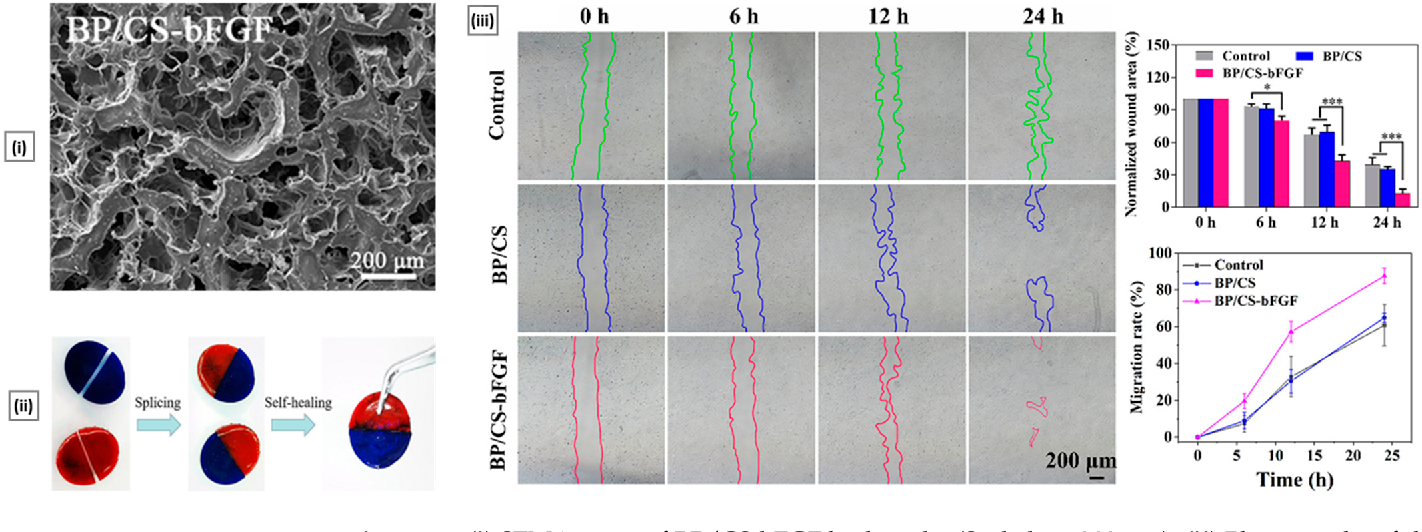 Pdf Chitosan A Potential Biopolymer In Drug Delivery And Biomedical