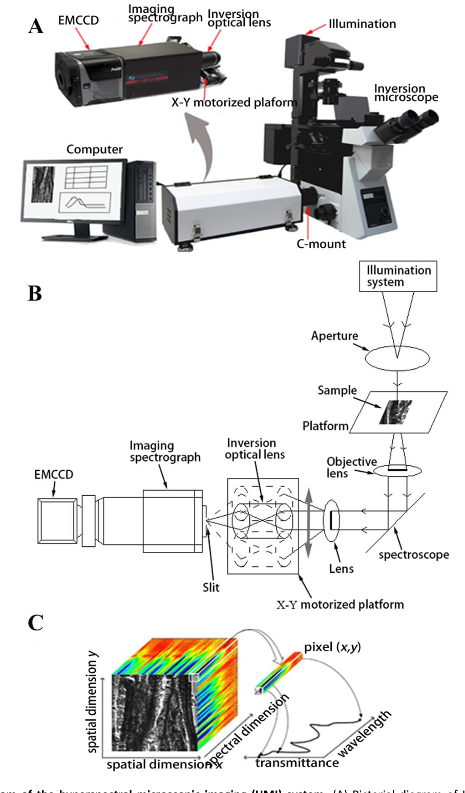 Figure 1 From A Novel Hyperspectral Microscopic Imaging System For