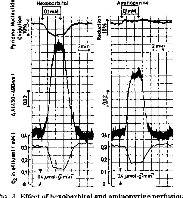 Figure 10 From Oxidation Reduction States Of Pyridine Nucleotide And