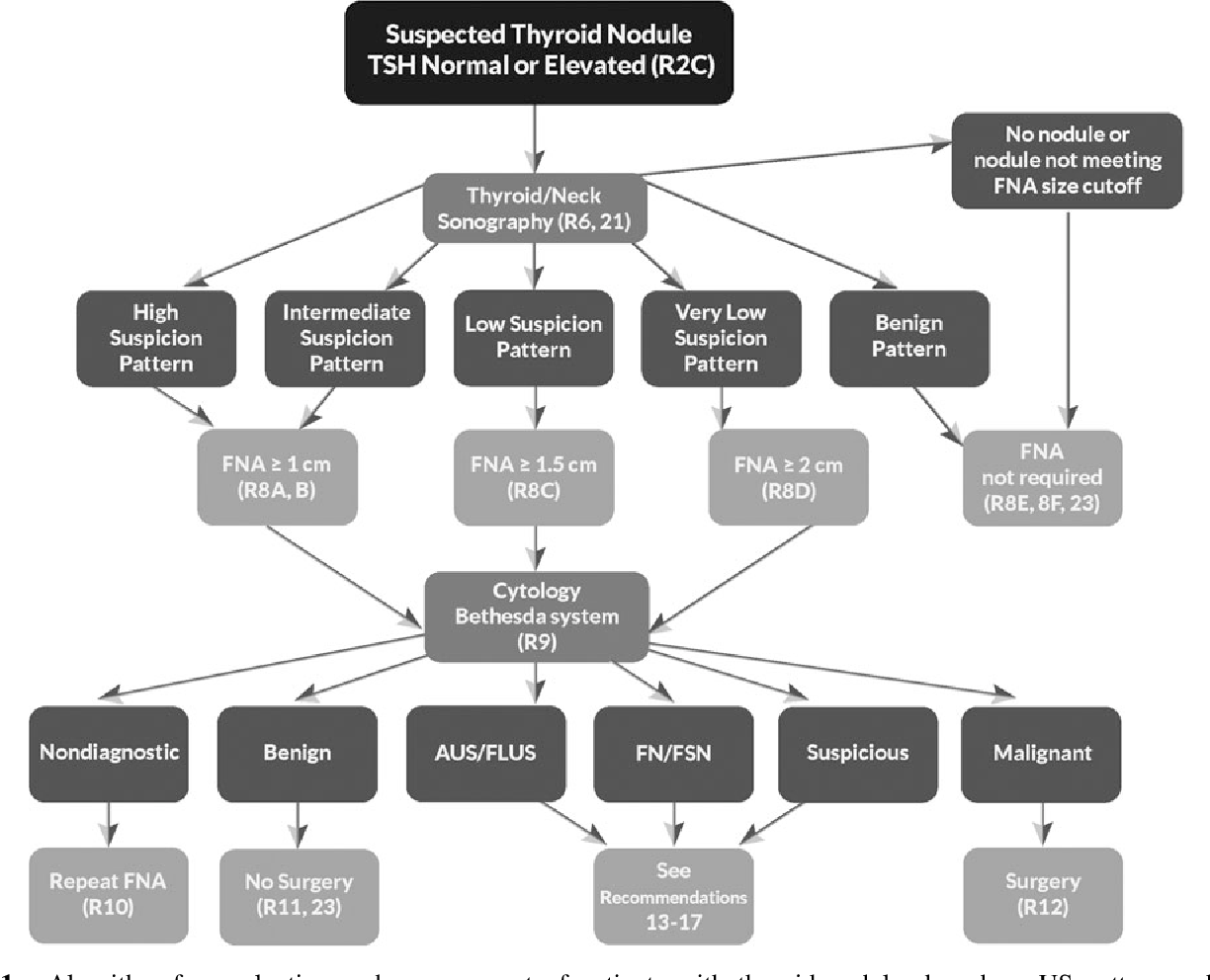 Pdf 2015 American Thyroid Association Management Guidelines For Adult