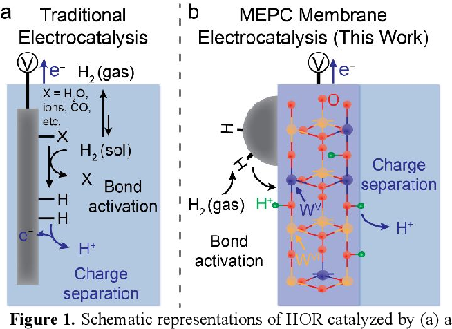 Figure 1 From Mixed Electron Proton Conductors Enable Spatial