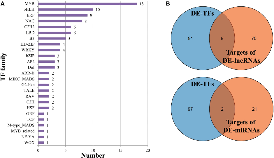 Figure 1 From Whole Transcriptome Analyses Identify Key Differentially