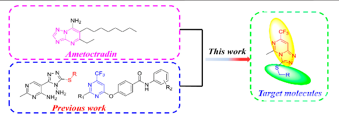 Pdf Design Synthesis And Antifungal Activity Of Novel 124