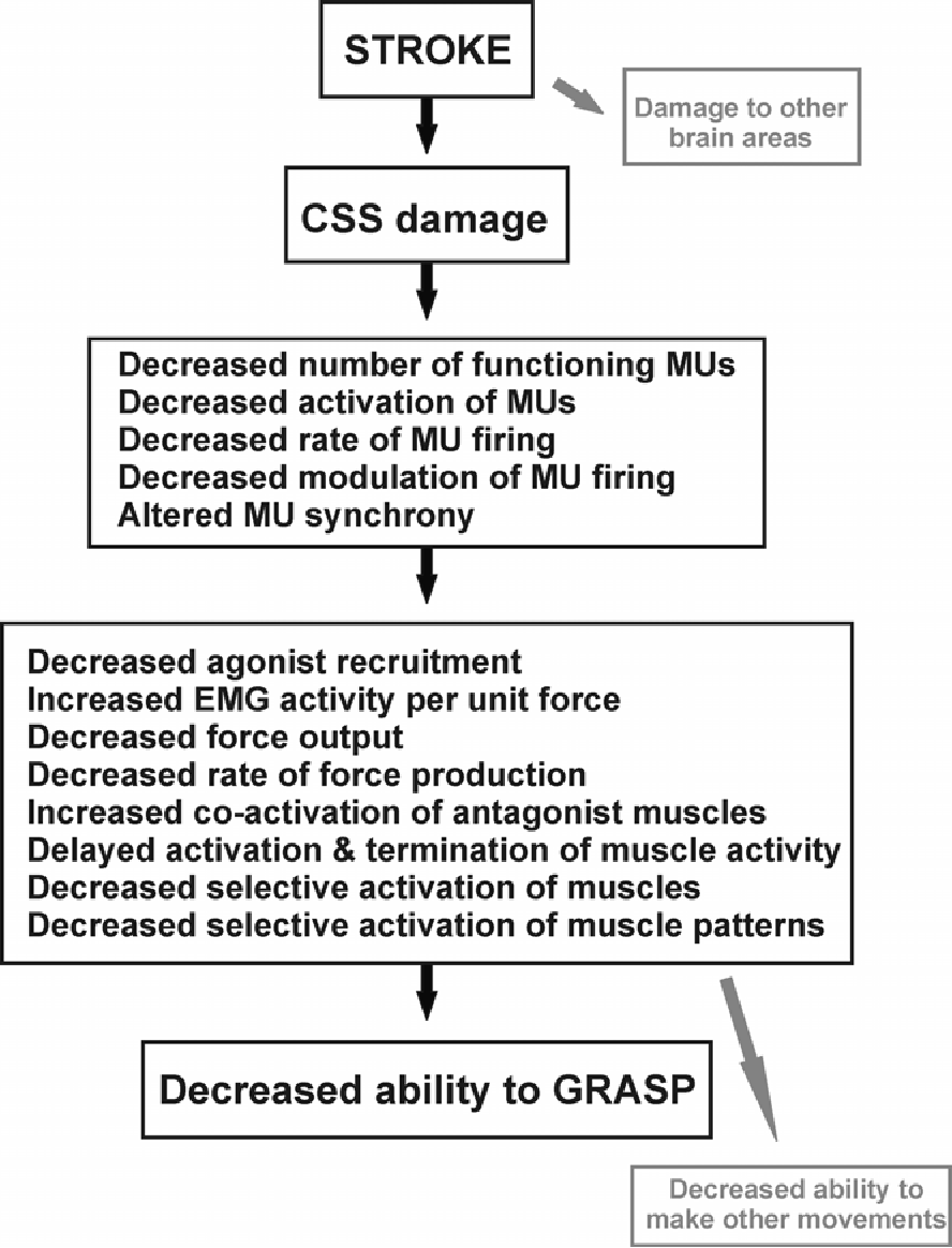 Figure 1 From Sensorimotor Control Of Grasping Physiology And