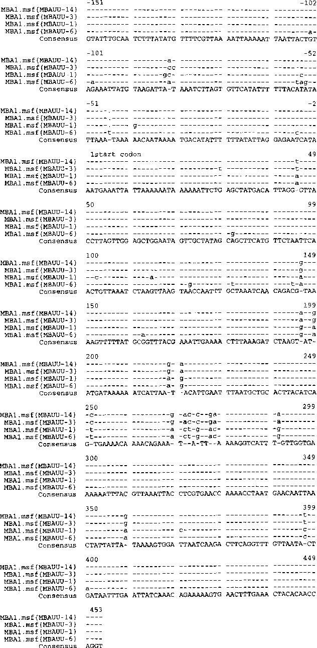 Table 1 From Phylogenetic Analysis Of Ureaplasma Urealyticum Support