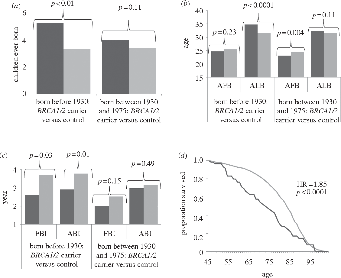 Figure 1 From Effects Of Brca1 And Brca2 Mutations On Female Fertility