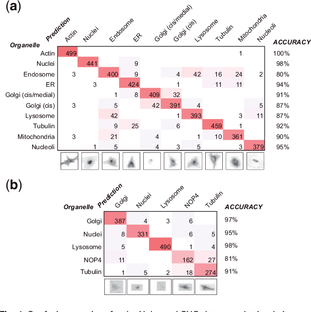 Pdf A Multi‐scale Convolutional Neural Network For Phenotyping High