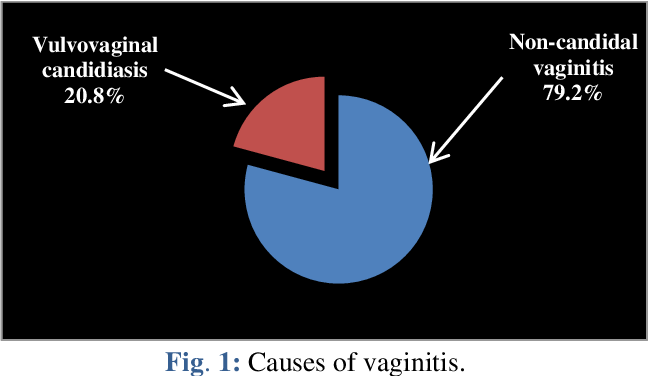 Figure 1 From The Prevalence Of Vulvovaginal Candidiasis Vvc Among