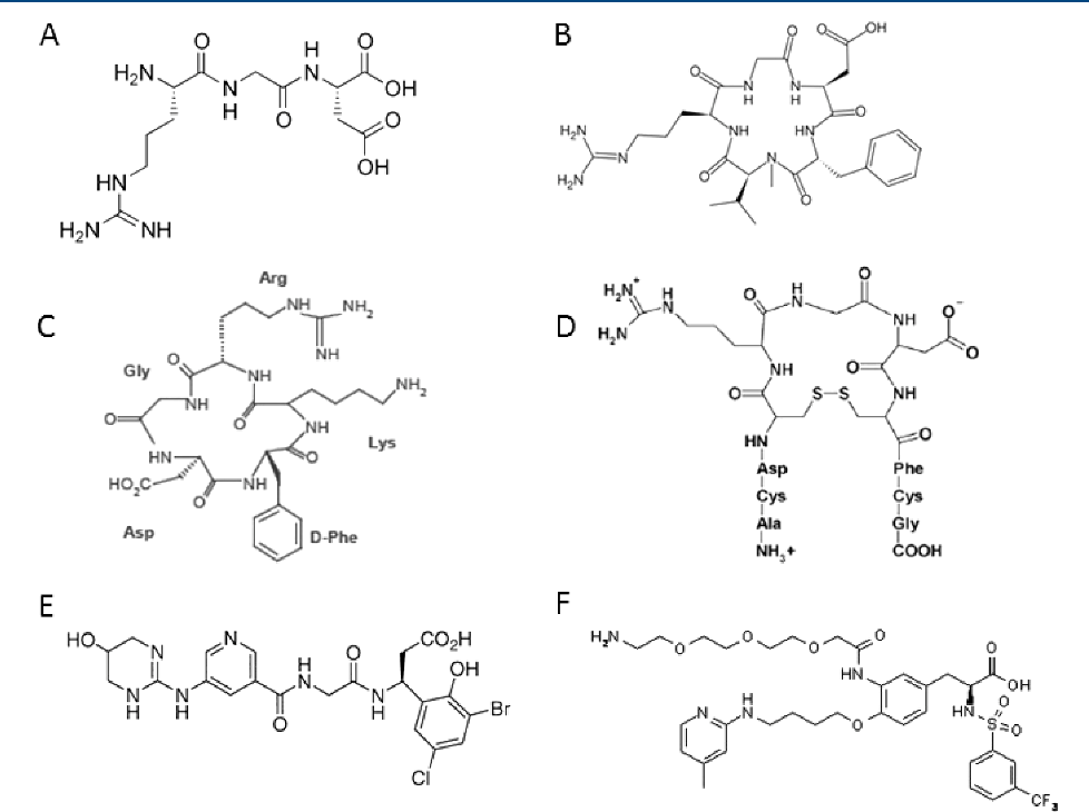 Cyclic Rgd Peptide Brain Mind Article