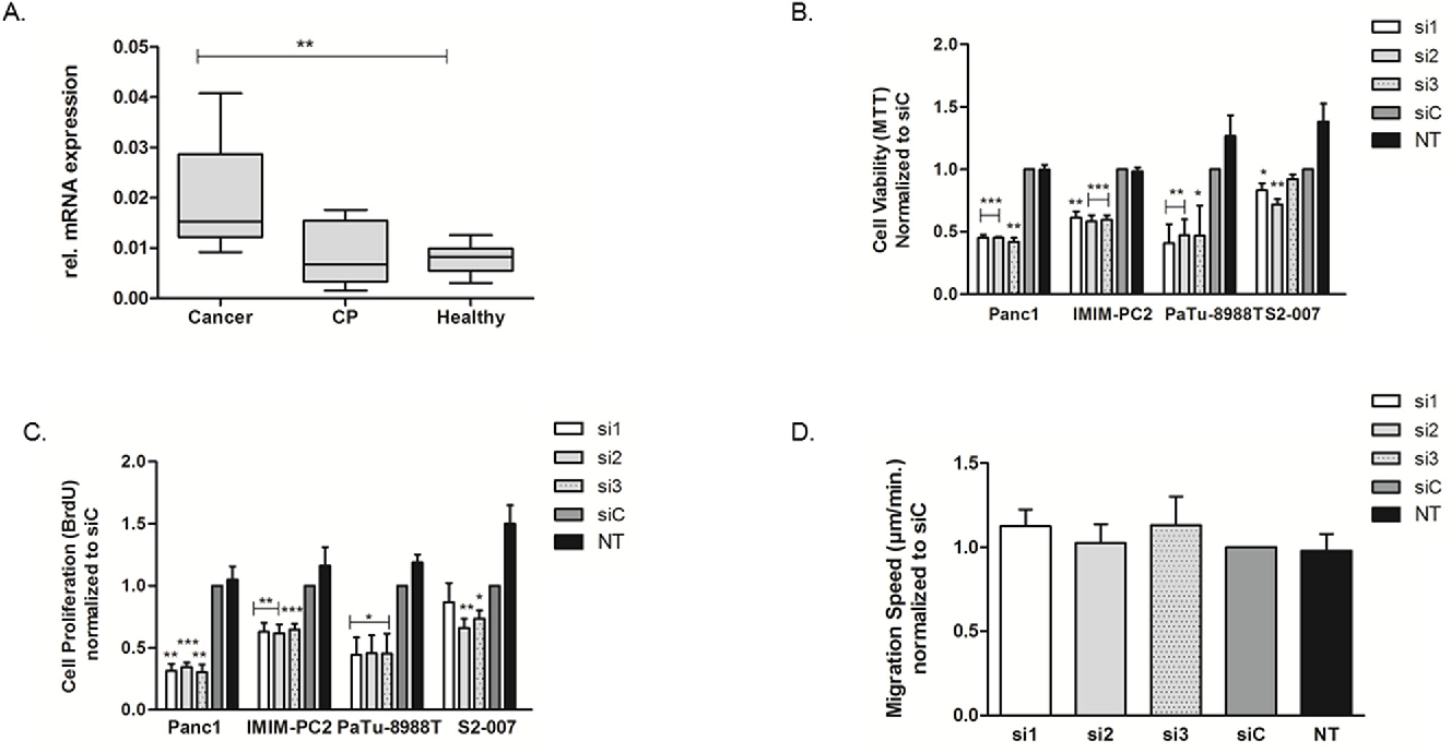 Figure 4 From The Deubiquitinating Enzyme Usp5 Promotes Pancreatic