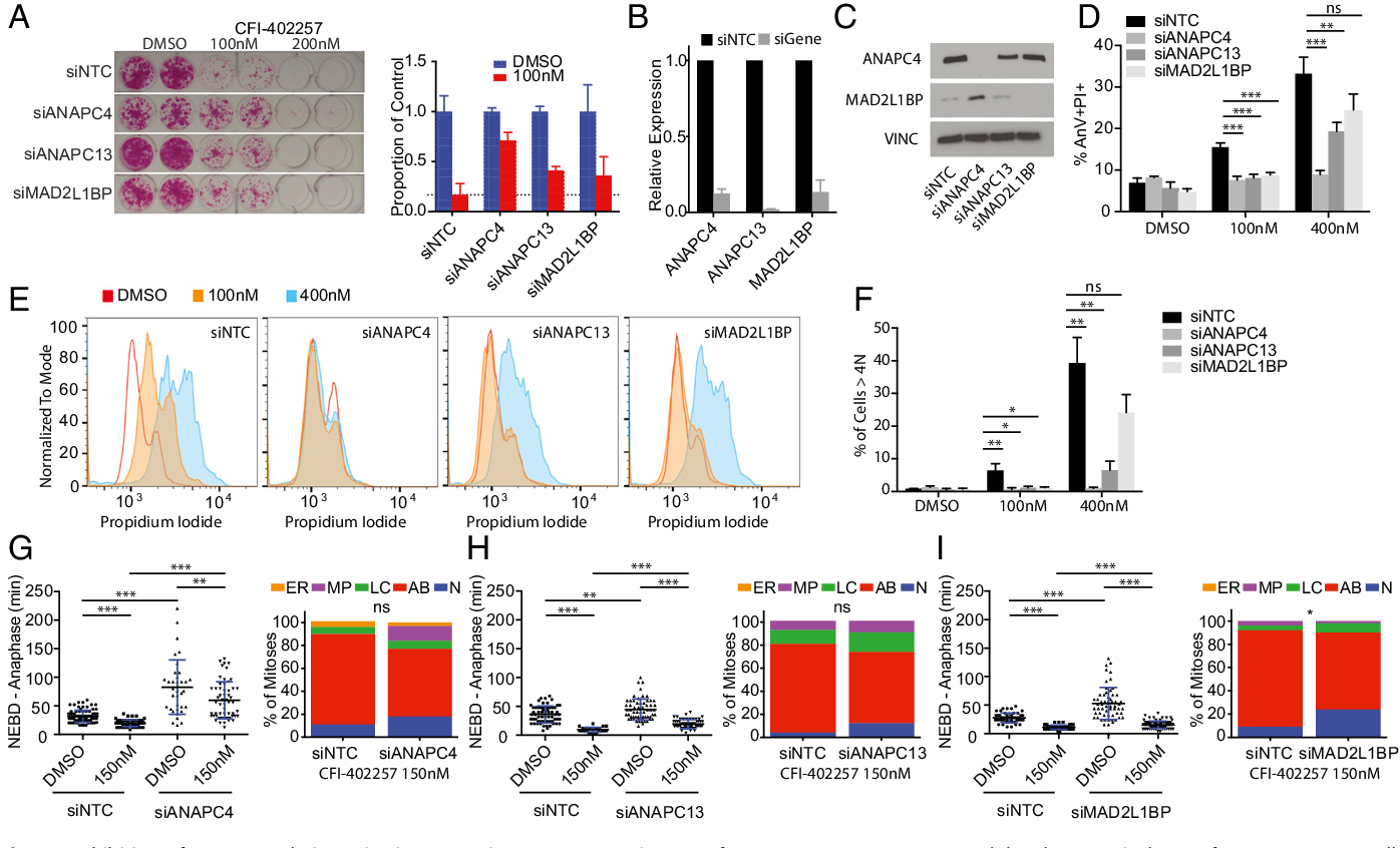 Threonine Tyrosine Kinase Inhibitor Cfi 402257 Semantic Scholar