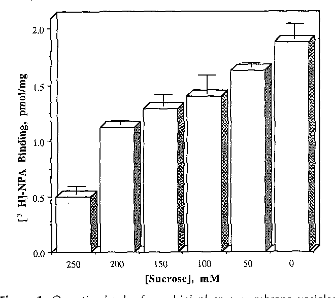 Alpha Naphthylphthalamic Acid Semantic Scholar