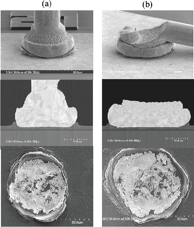 Figure 8 From Advanced Wire Bonding Technology For Ag Wire Semantic