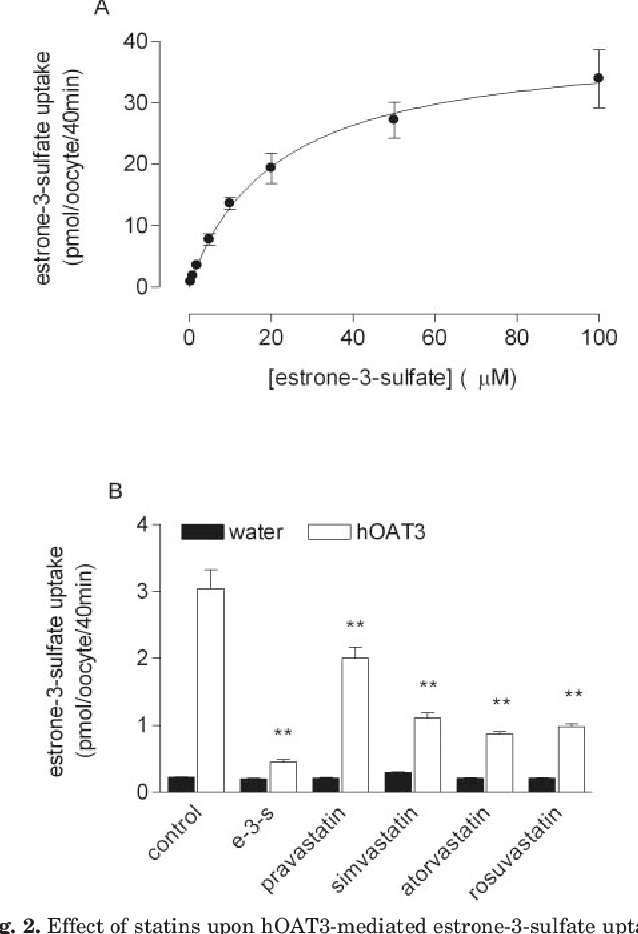 Figure 1 From The Contribution Of Organic Anion Transporters Oat1 And