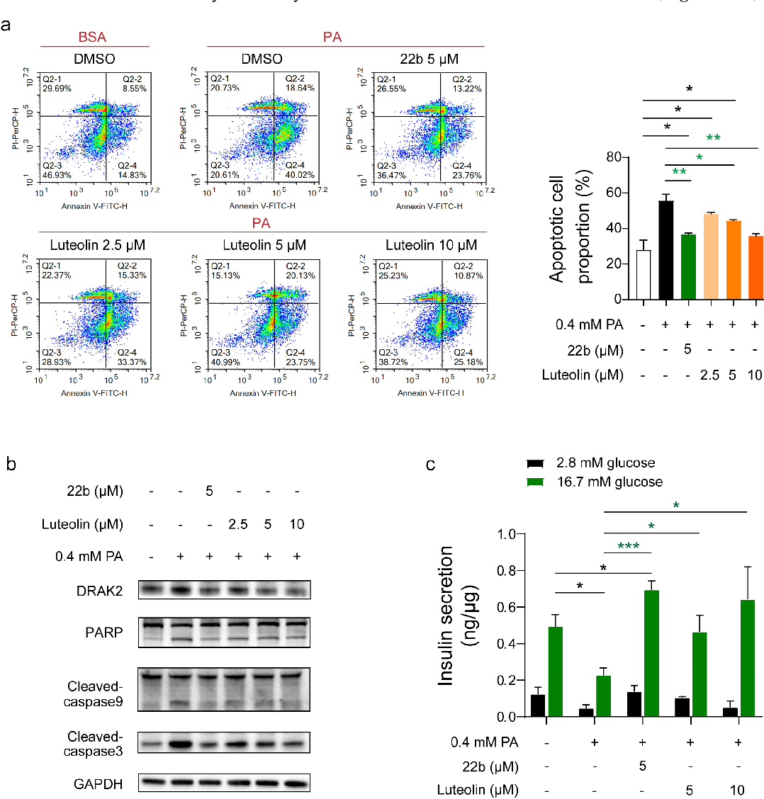 Pdf Luteolin Protects Pancreatic β Cells Against Apoptosis Through