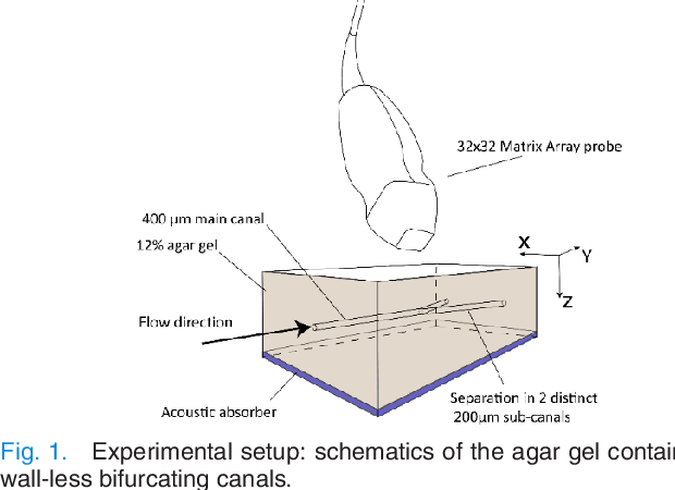 Figure 1 From Ultrafast 3d Ultrasound Localization Microscopy Using A