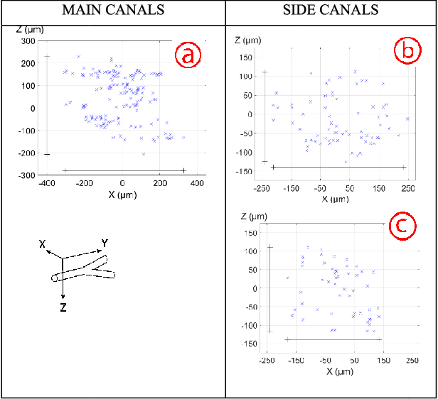 Figure 1 From Ultrafast 3d Ultrasound Localization Microscopy Using A