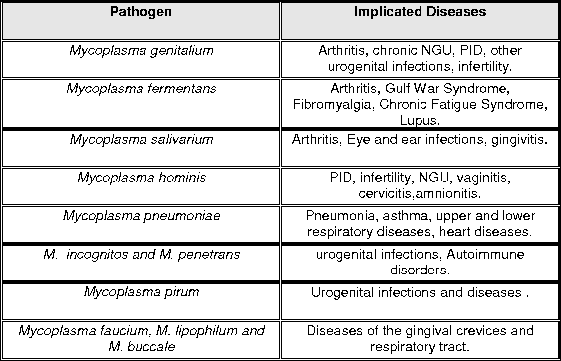 Figure 21 From Microbiolgy Chlamydia Trachomatis Mycoplasma Hominis