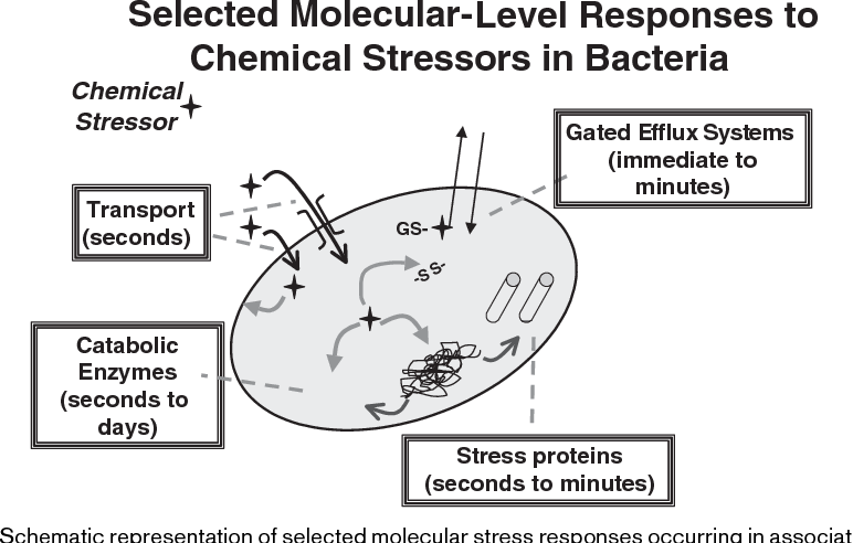 Figure 1 From Evaluating The Role Of Microbial Stress Response