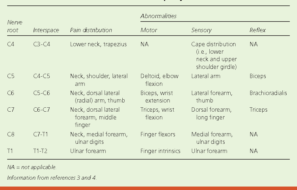 Cervical Radiculopathy Infographic Pain In The Neck