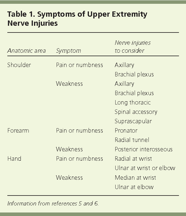 Figure 1 From Peripheral Nerve Entrapment And Injury In The Upper