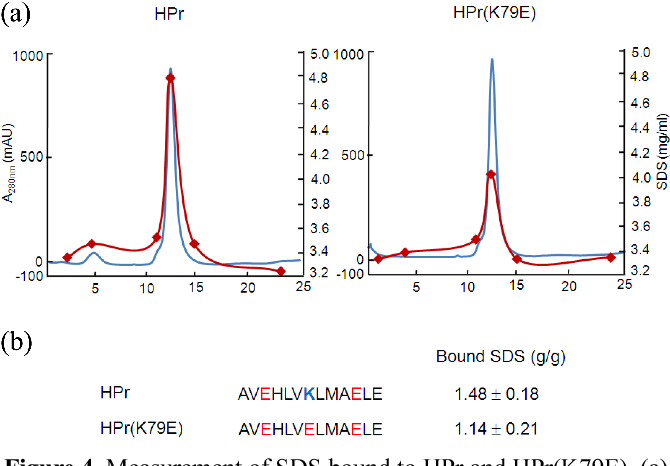 Pdf Phosphorylation Dependent Mobility Shift Of Proteins On Sds Page