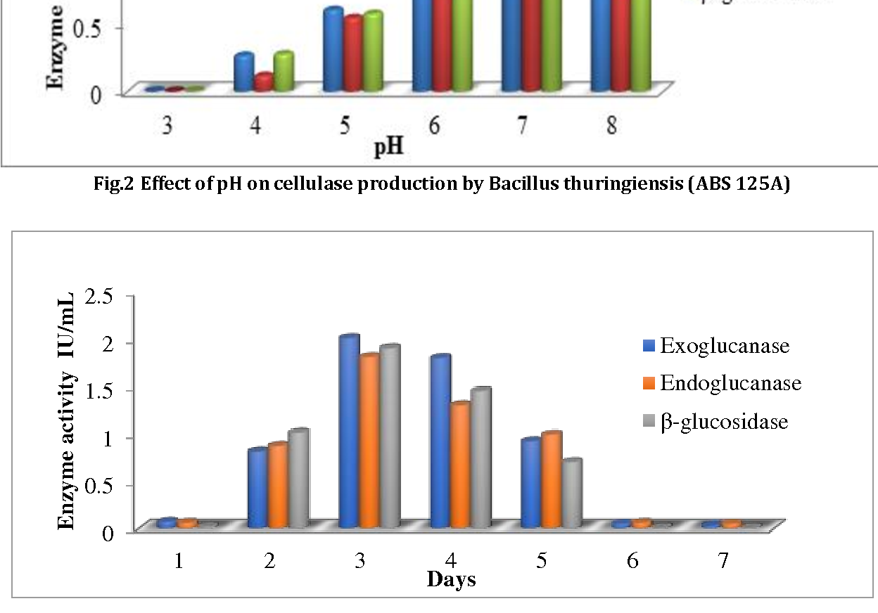 Isolation And Screening Of Cellulolytic Bacteria From Soil And